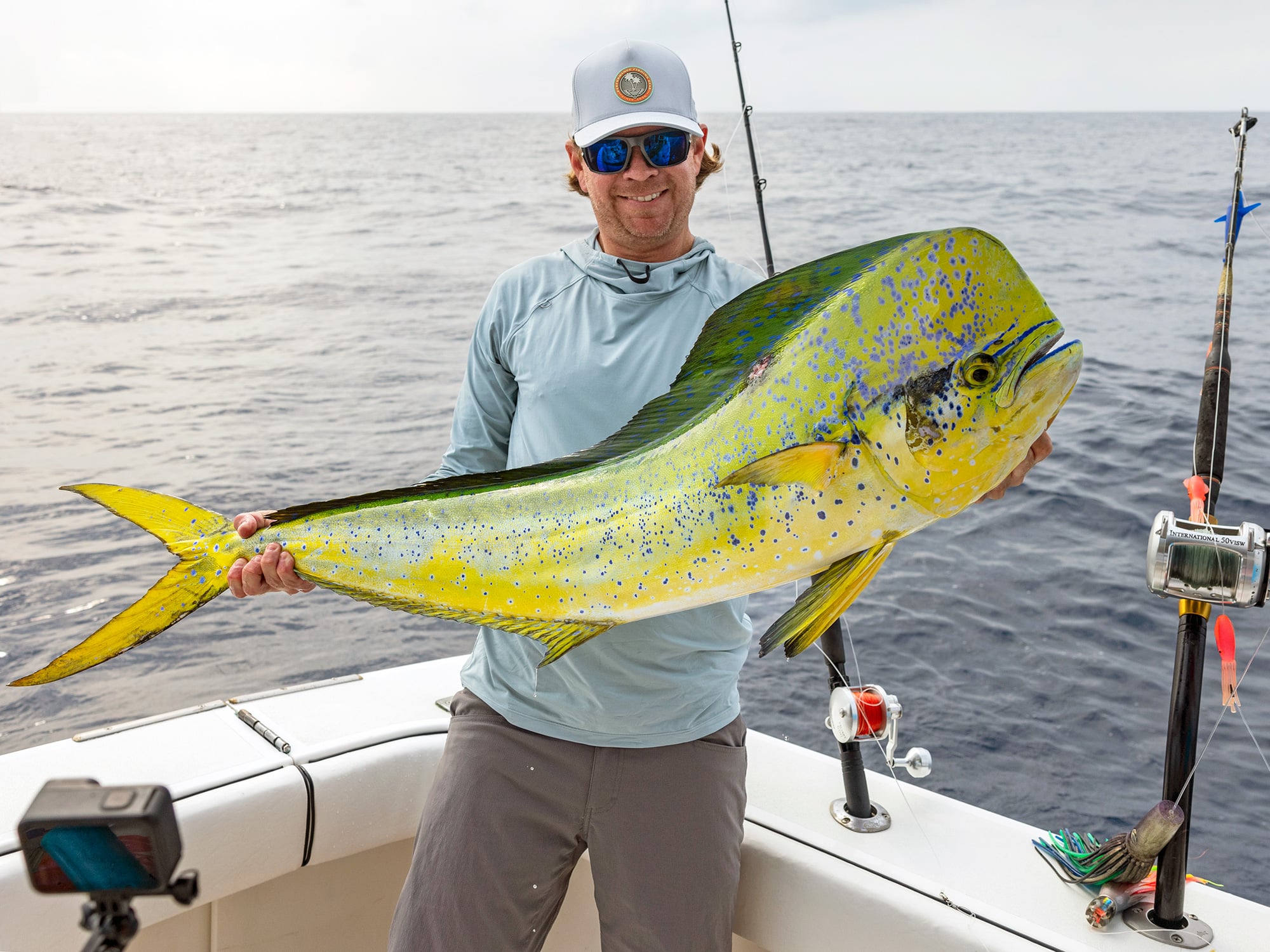Mahi Mahi Fishing Rigs, How to Catch Dolphin | Salt Water Sportsman