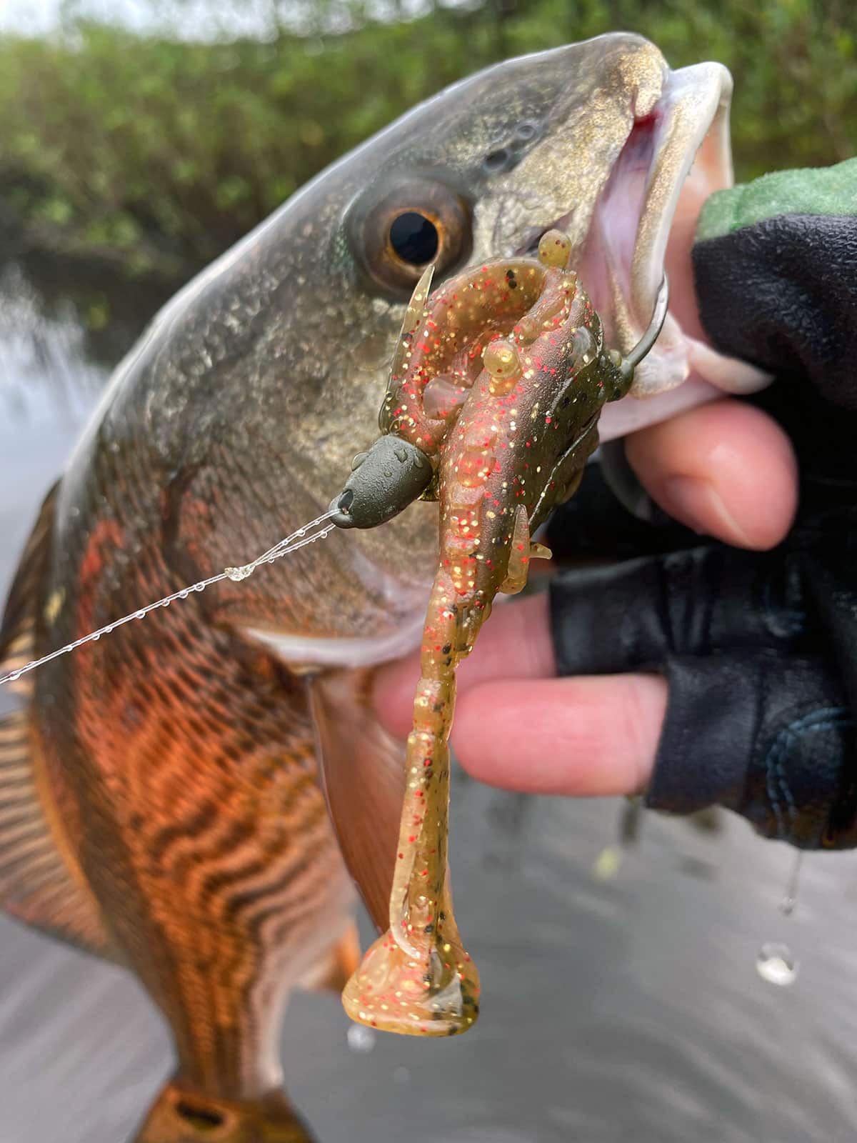 10 Best Redfish Lures, Artificial Baits for Redfish | Salt Water Sportsman
