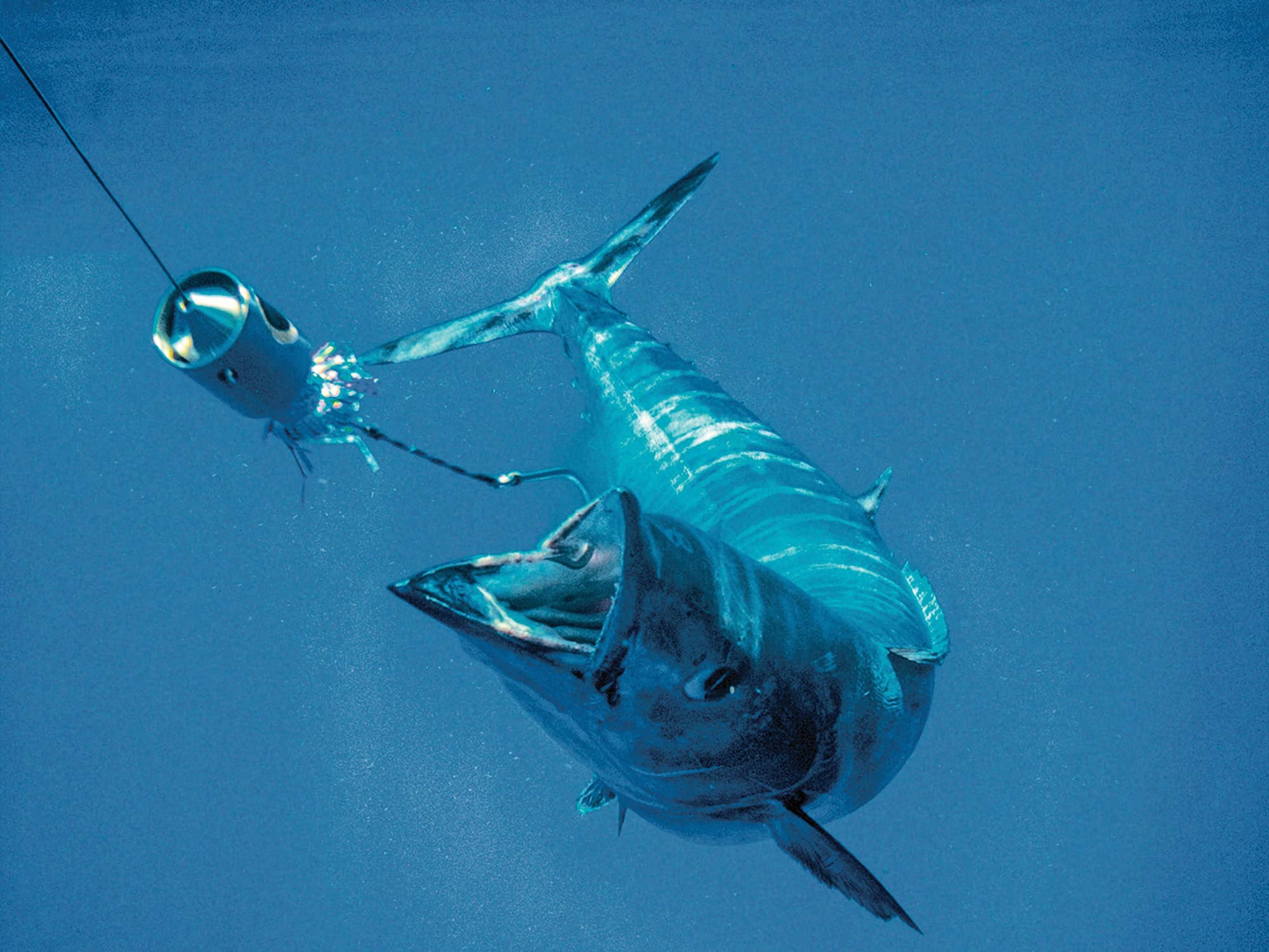Where to Fish in November | Salt Water Sportsman
