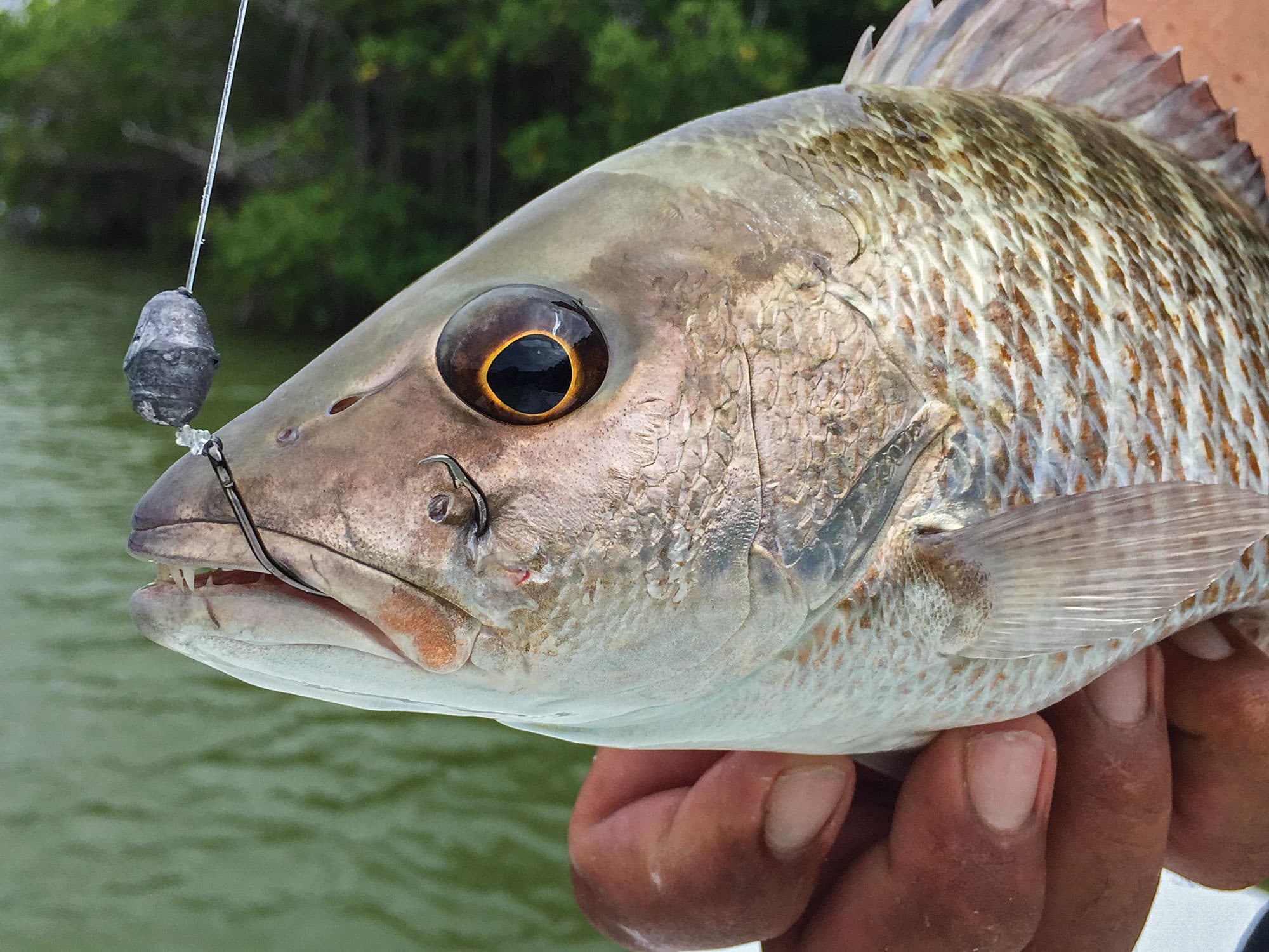 Key Largo Fishing Spots and Tips | Salt Water Sportsman