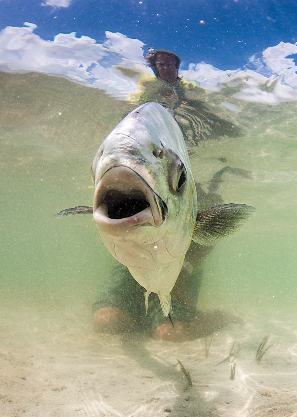 Flats Fishing in Belize | Salt Water Sportsman