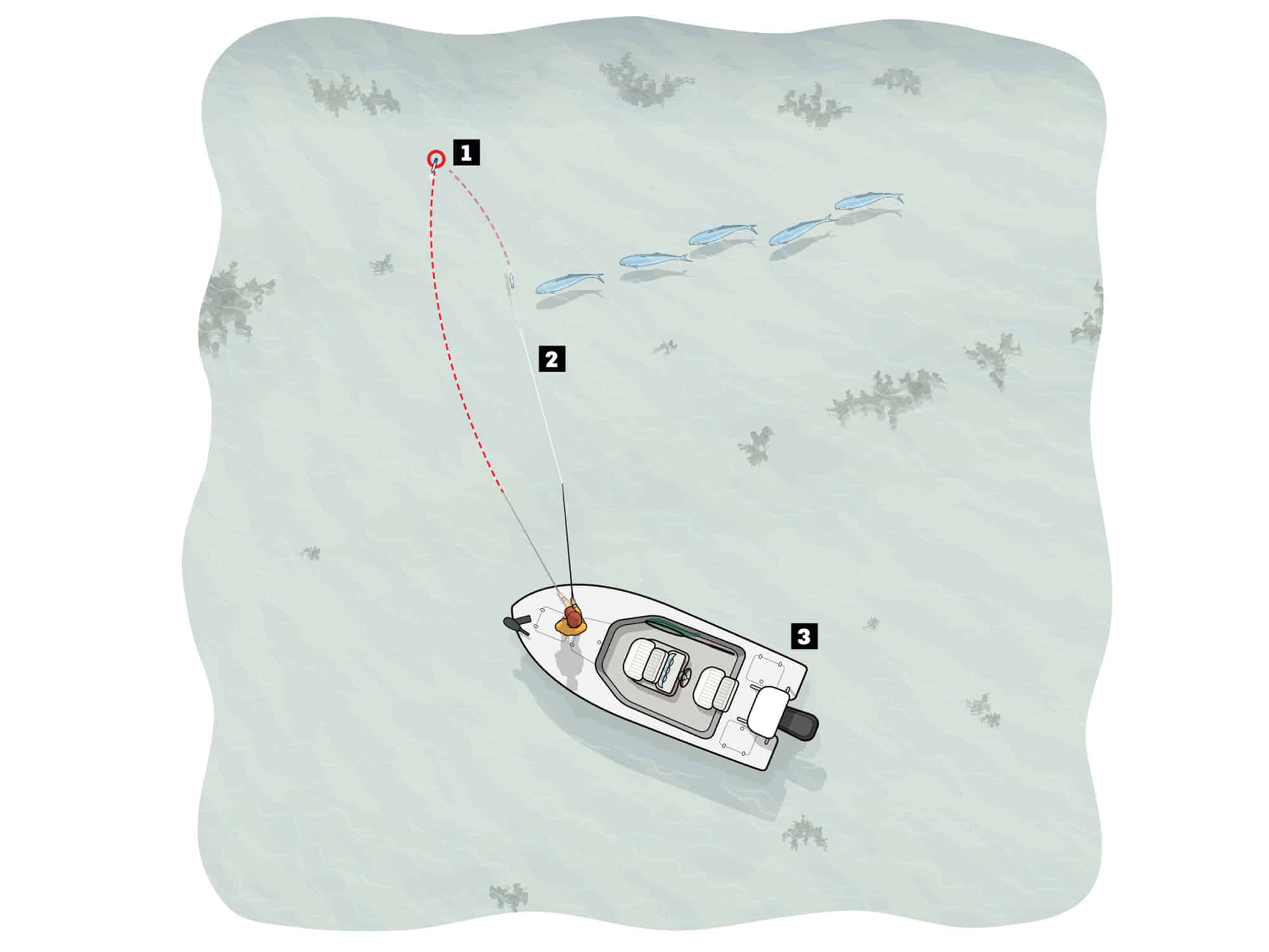 How to Catch Bluefish, Bait and Lures for Bluefish | Salt Water Sportsman