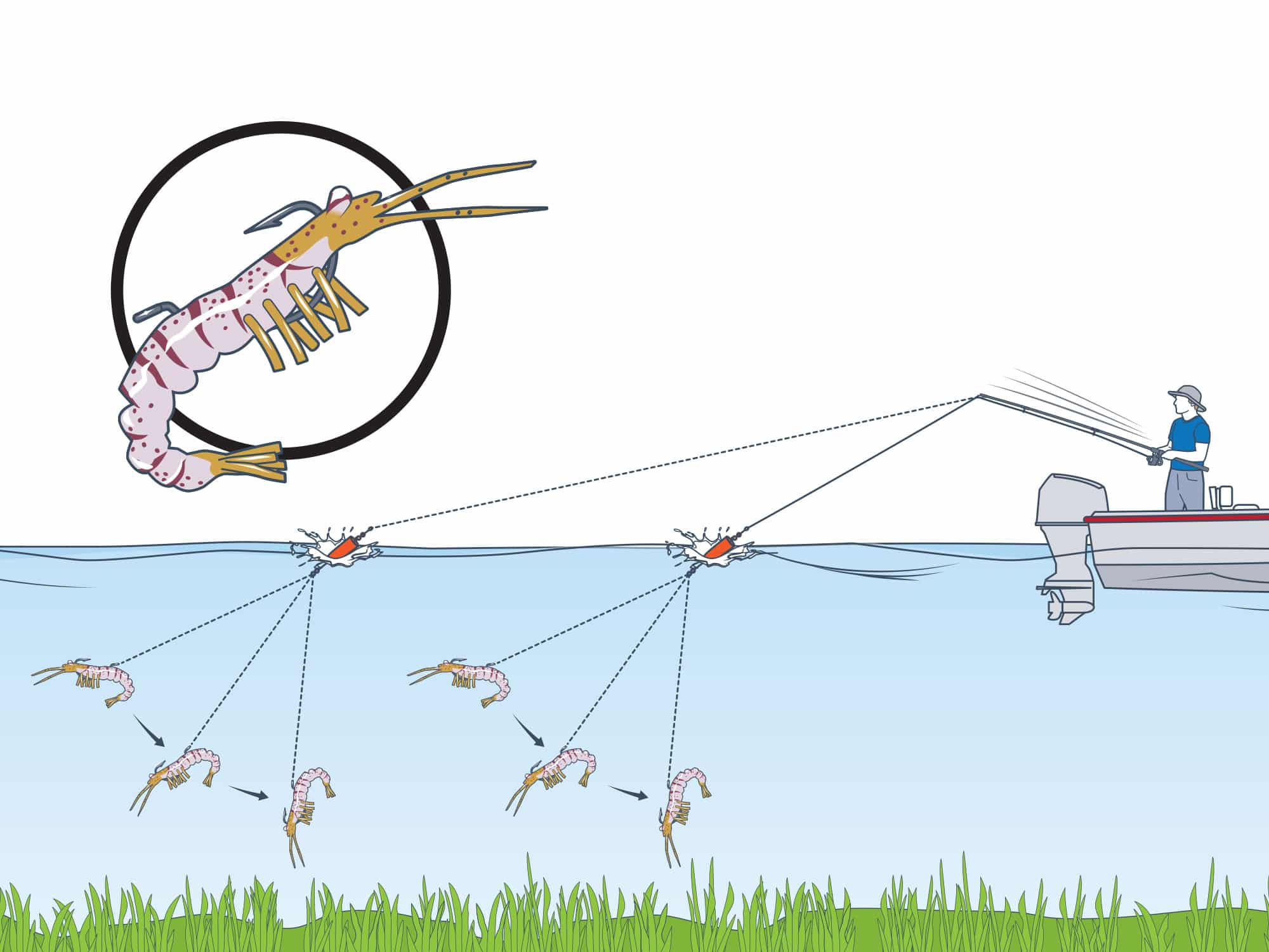 How to Fish with Artificial Shrimp Lures | Salt Water Sportsman