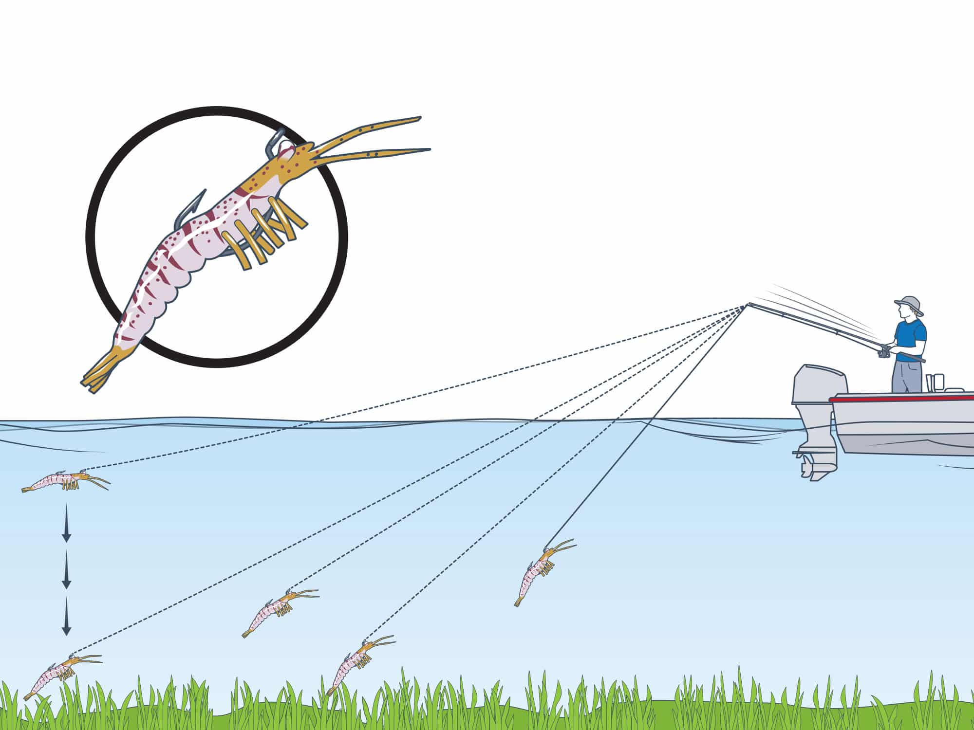 How to Fish with Artificial Shrimp Lures | Salt Water Sportsman