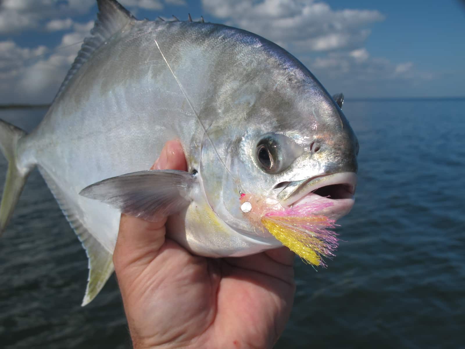 Fly Fishing Strategy for Pompano