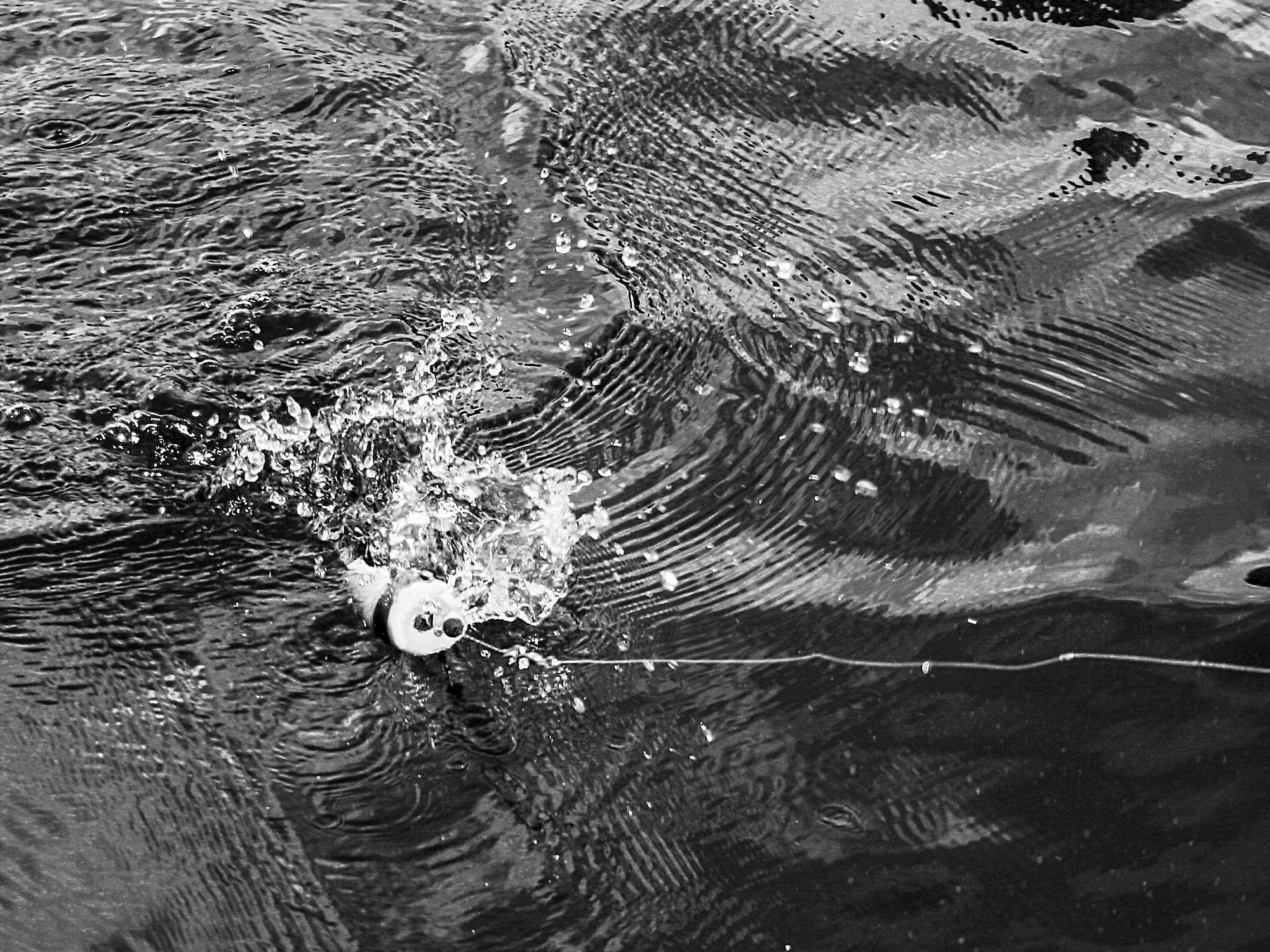 How to Rig and Fish Popping Corks | Salt Water Sportsman