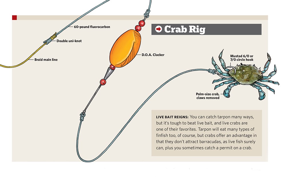 Tarpon Fishing in the Florida Keys | Salt Water Sportsman