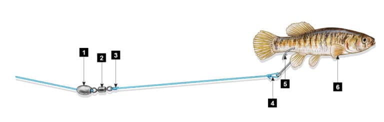 Fishing With Live Bait | Salt Water Sportsman