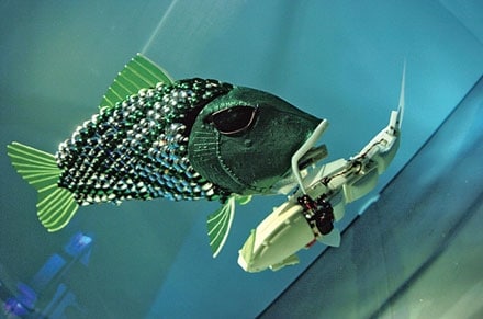 Robo-Fish | Salt Water Sportsman