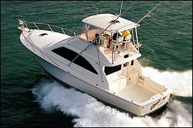 Ocean 43 Super Sport | Salt Water Sportsman
