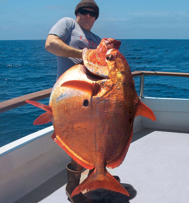 Opah Fisk