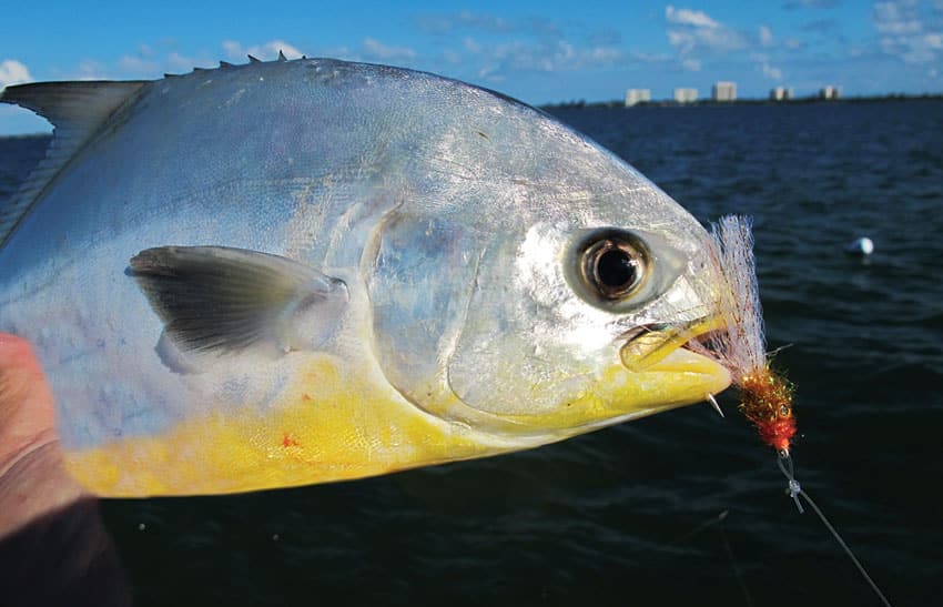 Planning for Pompano on Fly | Salt Water Sportsman