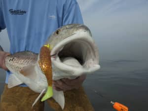 How to Rig and Fish Popping Corks | Salt Water Sportsman