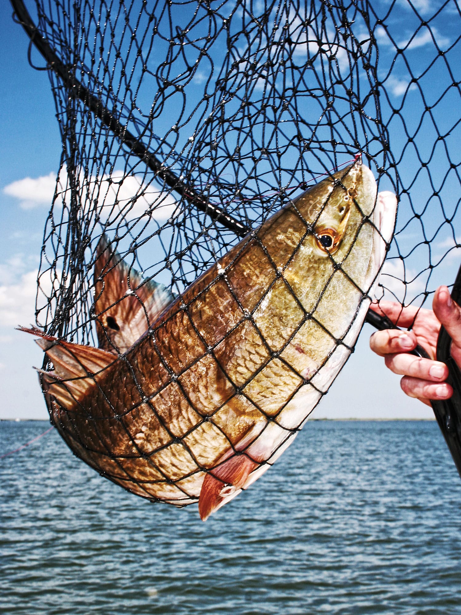 Best Redfish Rigs and Tackle Setups | Salt Water Sportsman