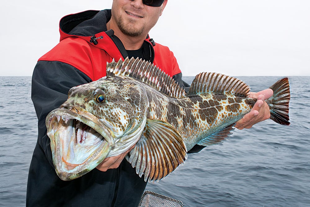 Rockfish Fishing in Mexico | Salt Water Sportsman