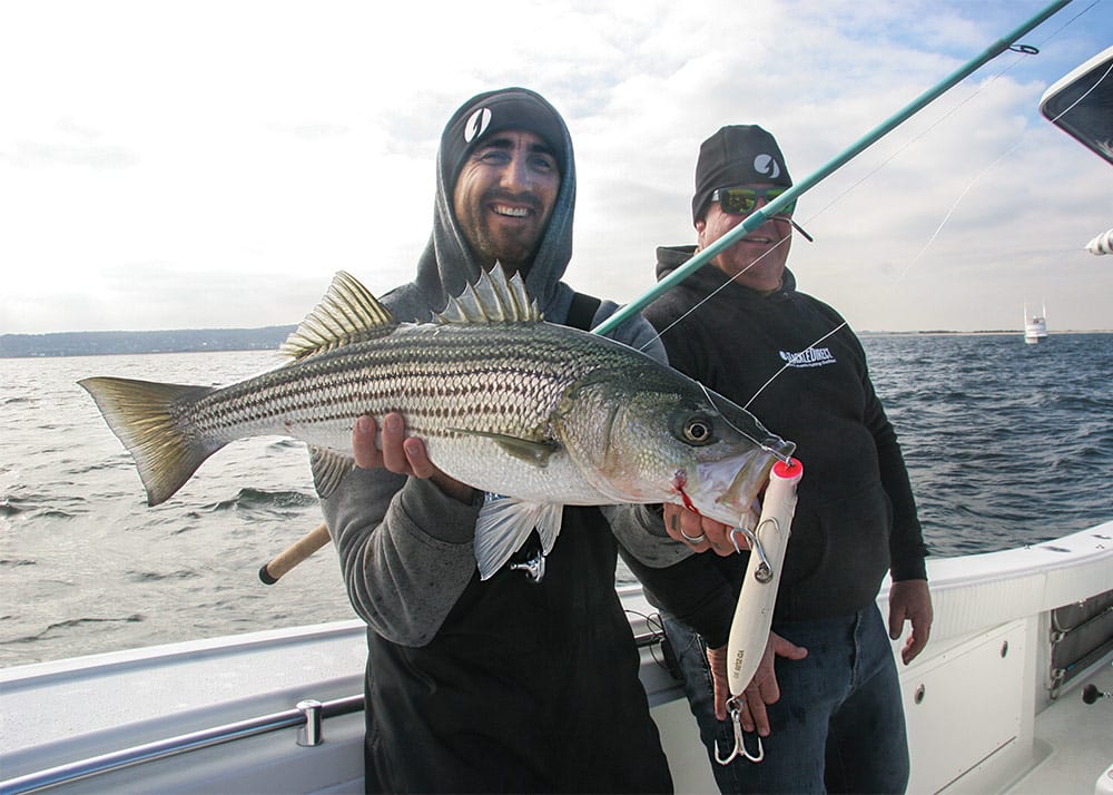 White Mullet