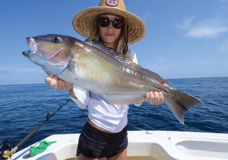 How to Catch Blueline Tilefish | Salt Water Sportsman