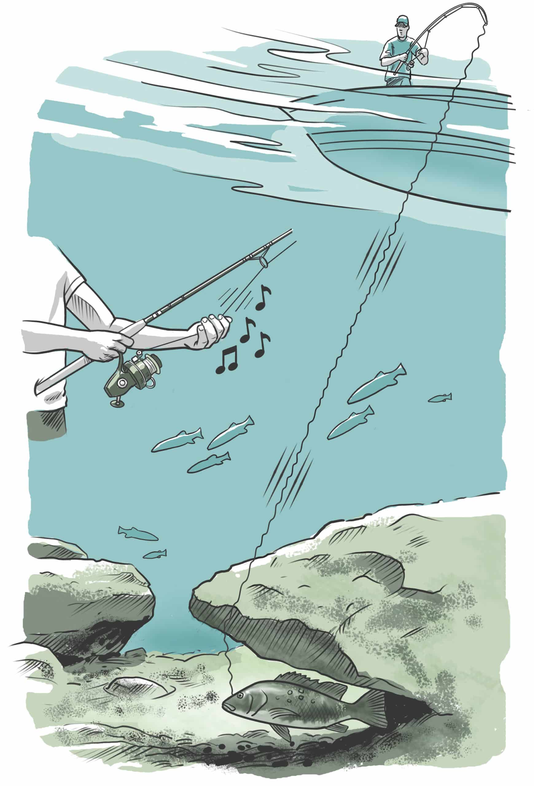 Bottomfish Tactics | Salt Water Sportsman