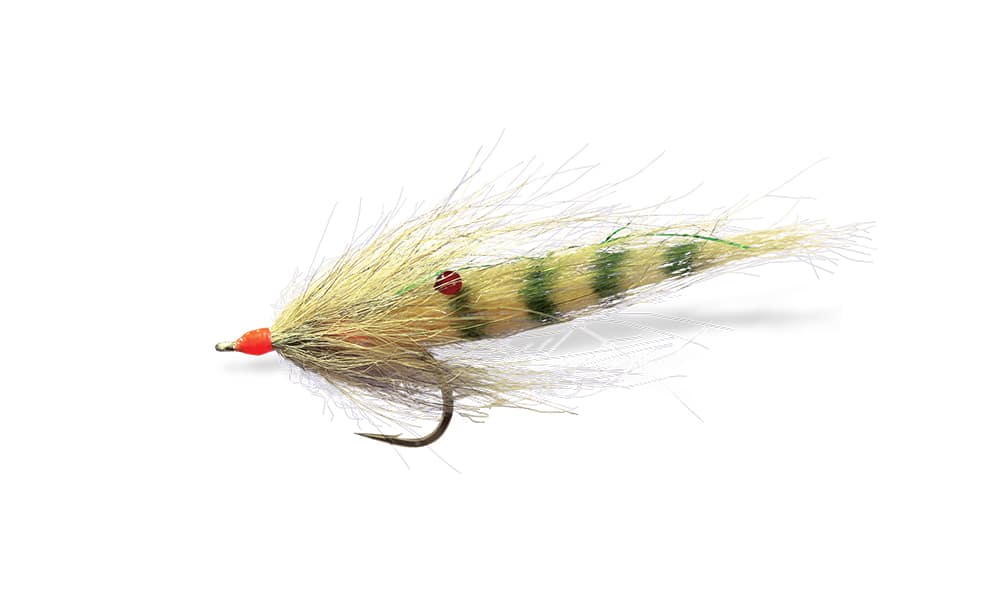 Ultimate Shrimp Fly Patterns