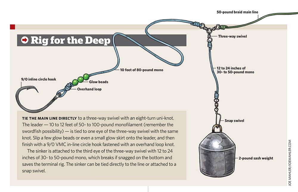 Florida Tilefishing | Salt Water Sportsman