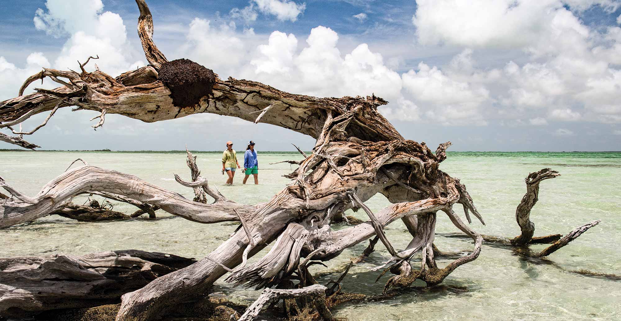 How to Take Better Fish Pictures | Salt Water Sportsman