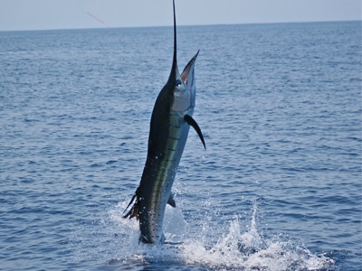 World's Greatest Fishing Destinations