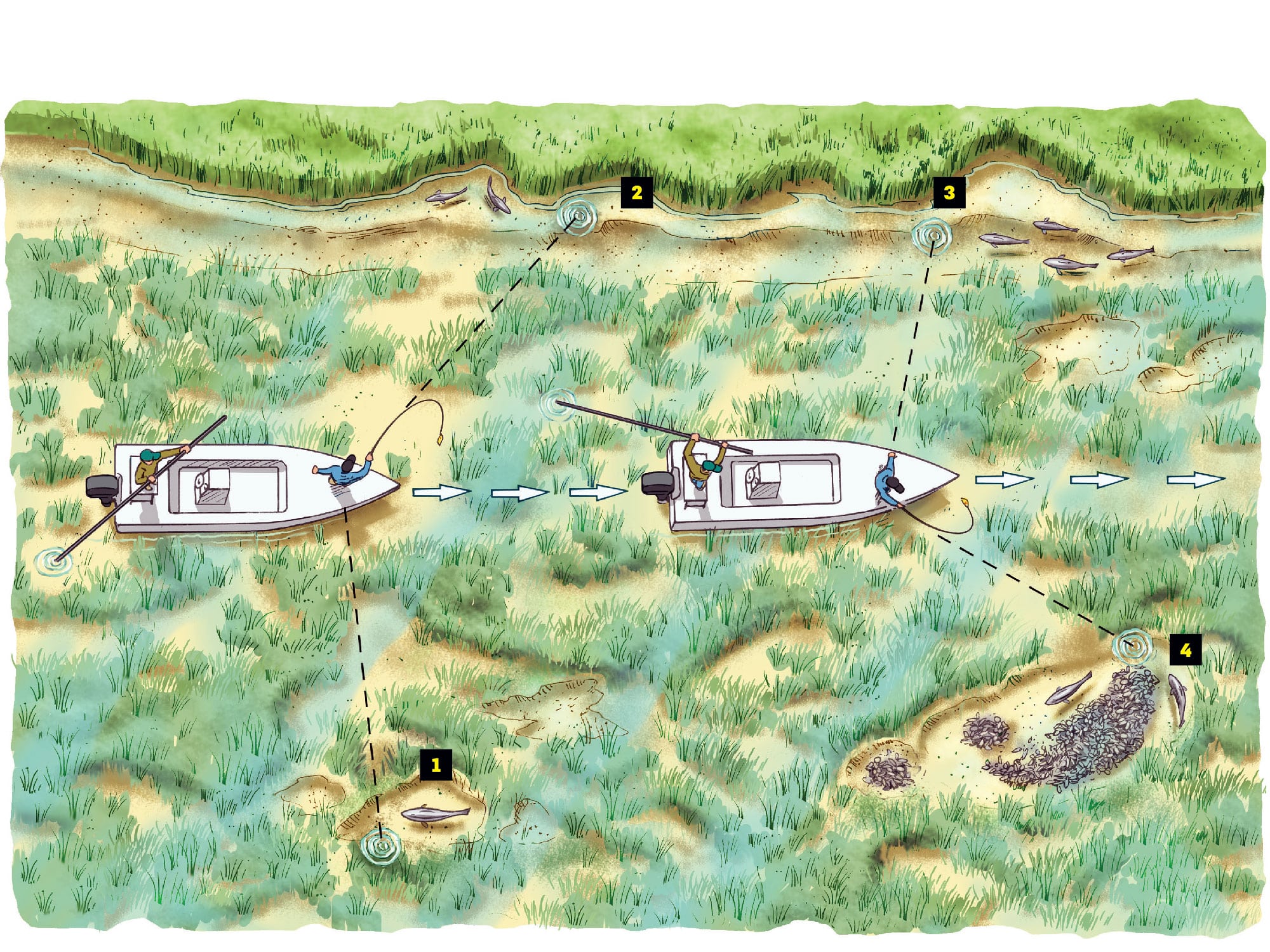 Strategies to Catch Skittish Fish | Salt Water Sportsman