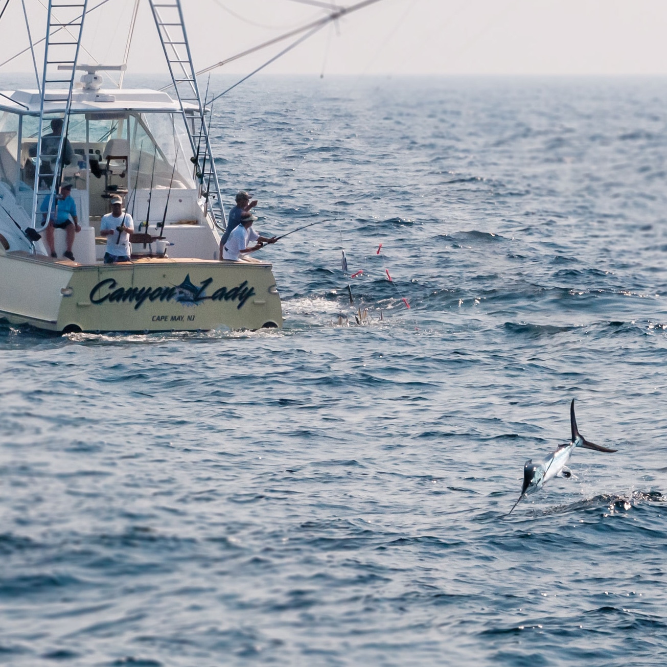 How To Catch White Marlin | Salt Water Sportsman
