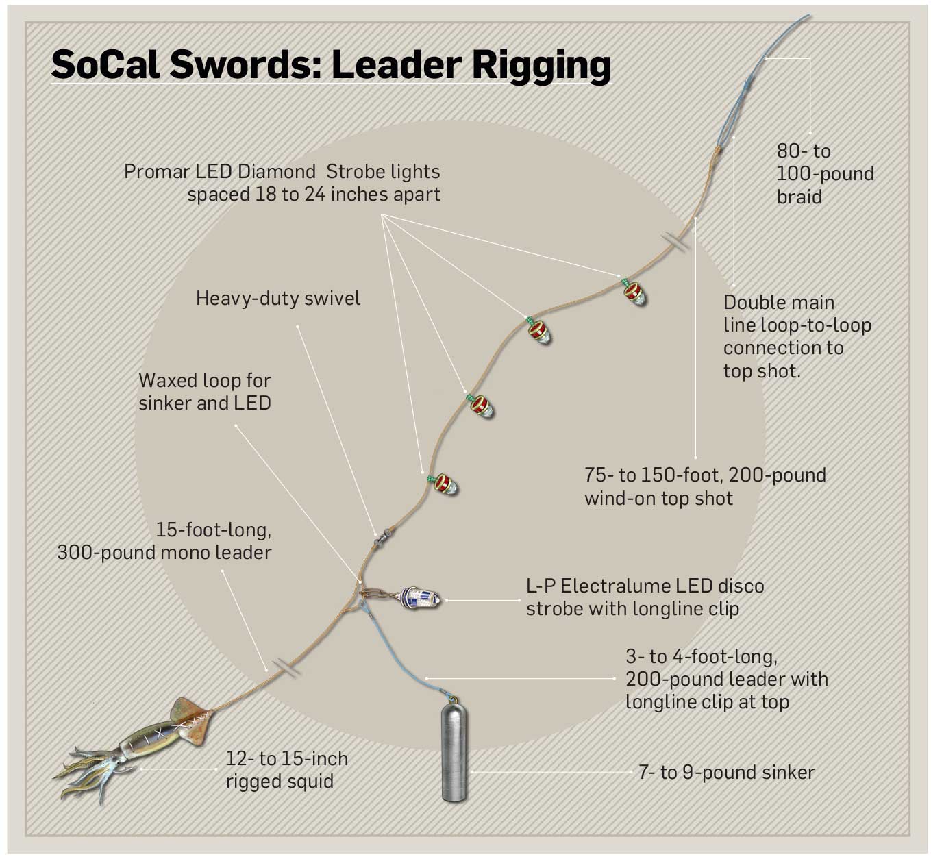 How to Catch California Swordfish