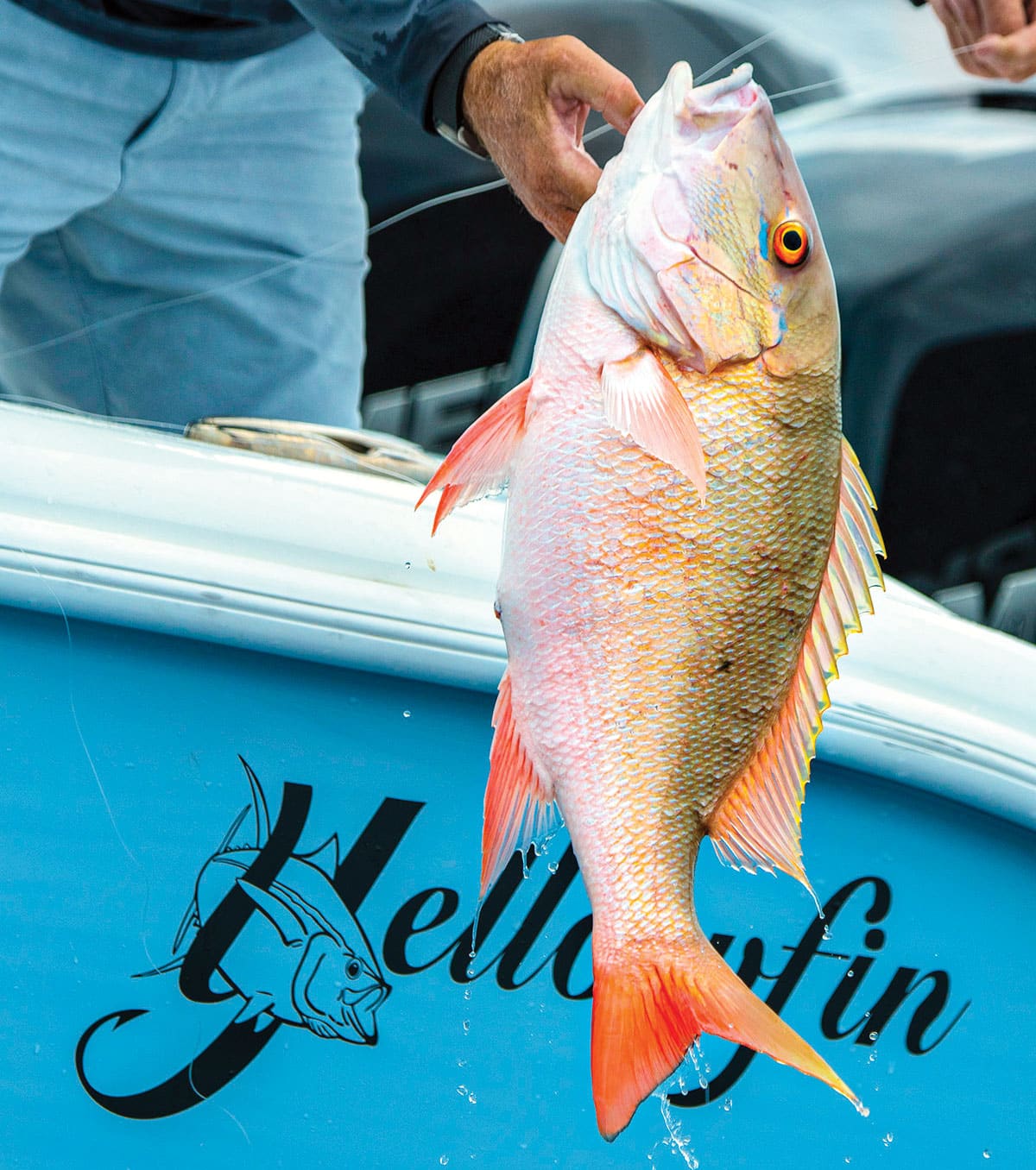 Fishing for the 5 Most Popular Snappers