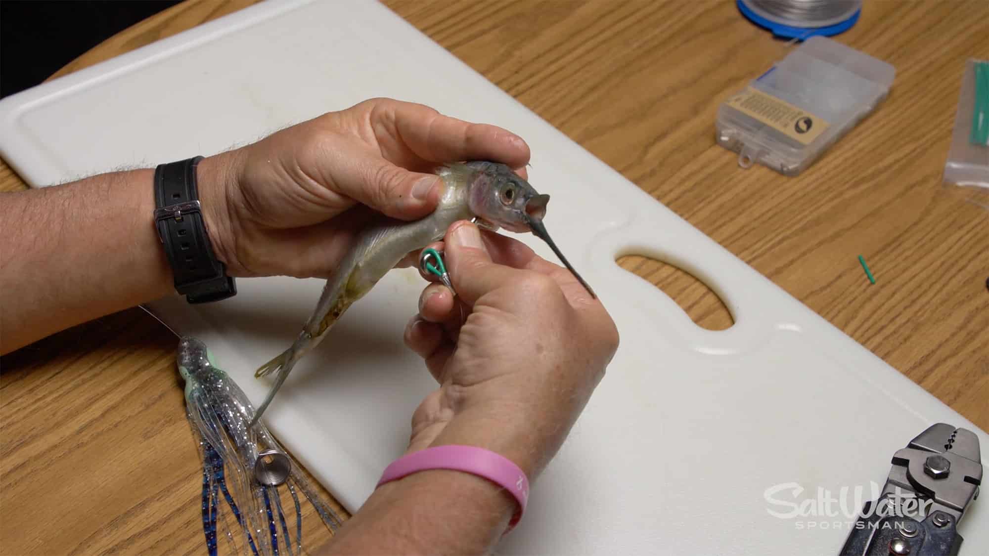 How to Rig a Ballyhoo, Rigging Ballyhoo for Trolling | Salt Water Sportsman