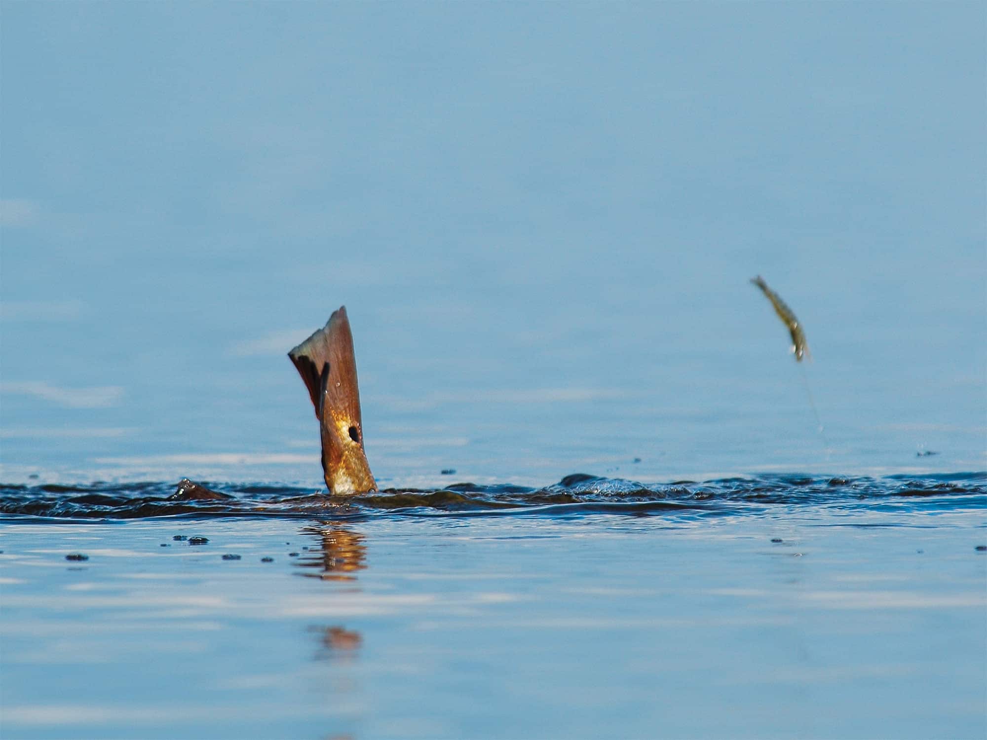 Fishing for Redfish in Texas | Salt Water Sportsman