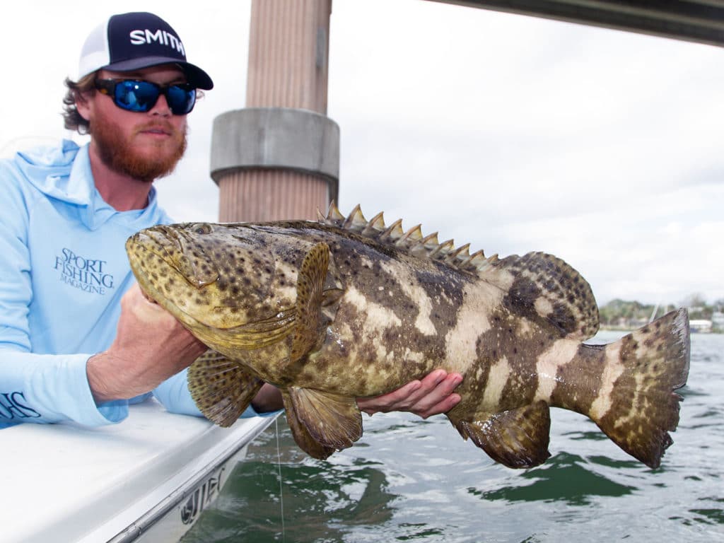 Enter Florida's Goliath Grouper Lottery