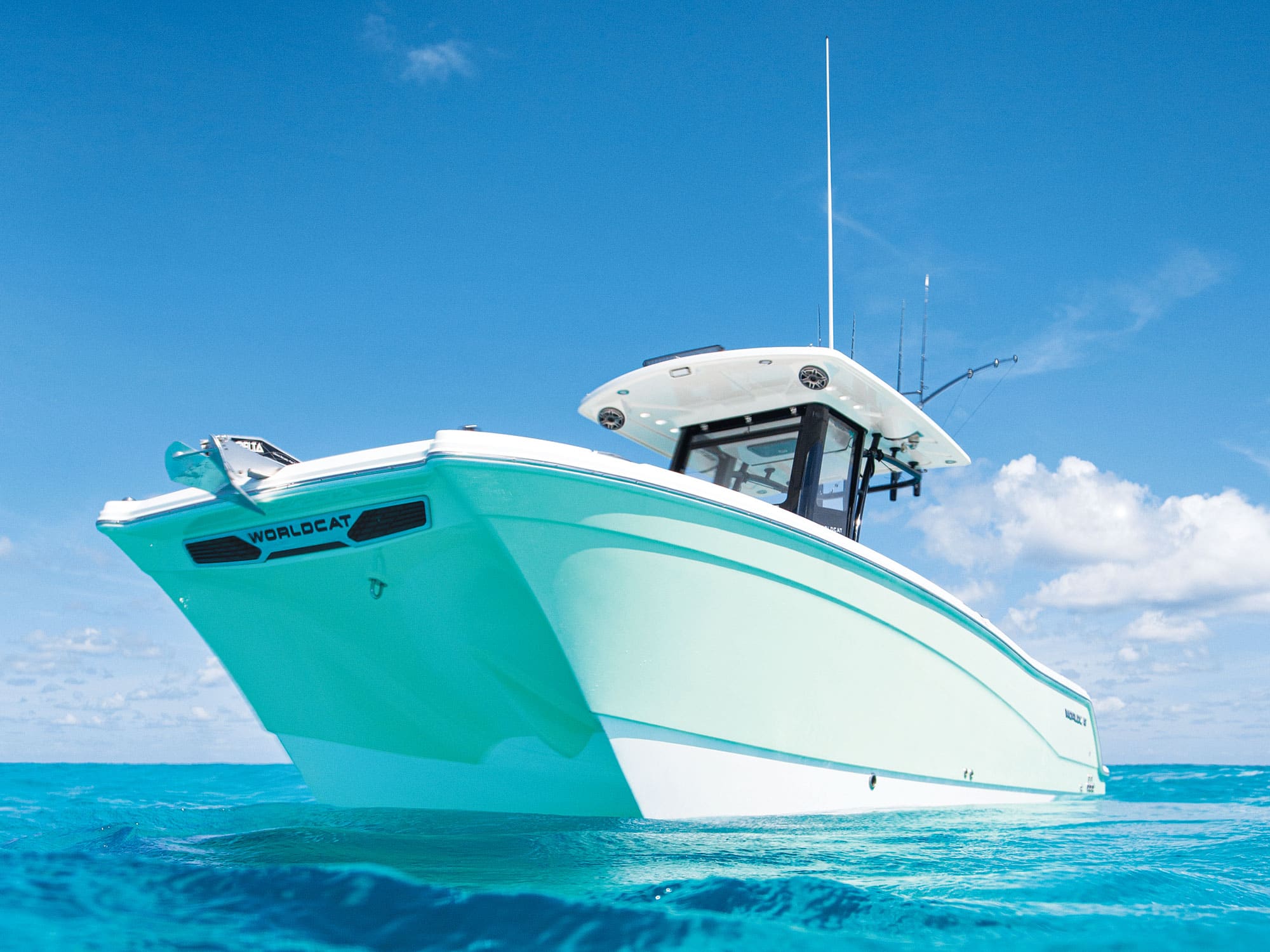 World Cat 260CC-X