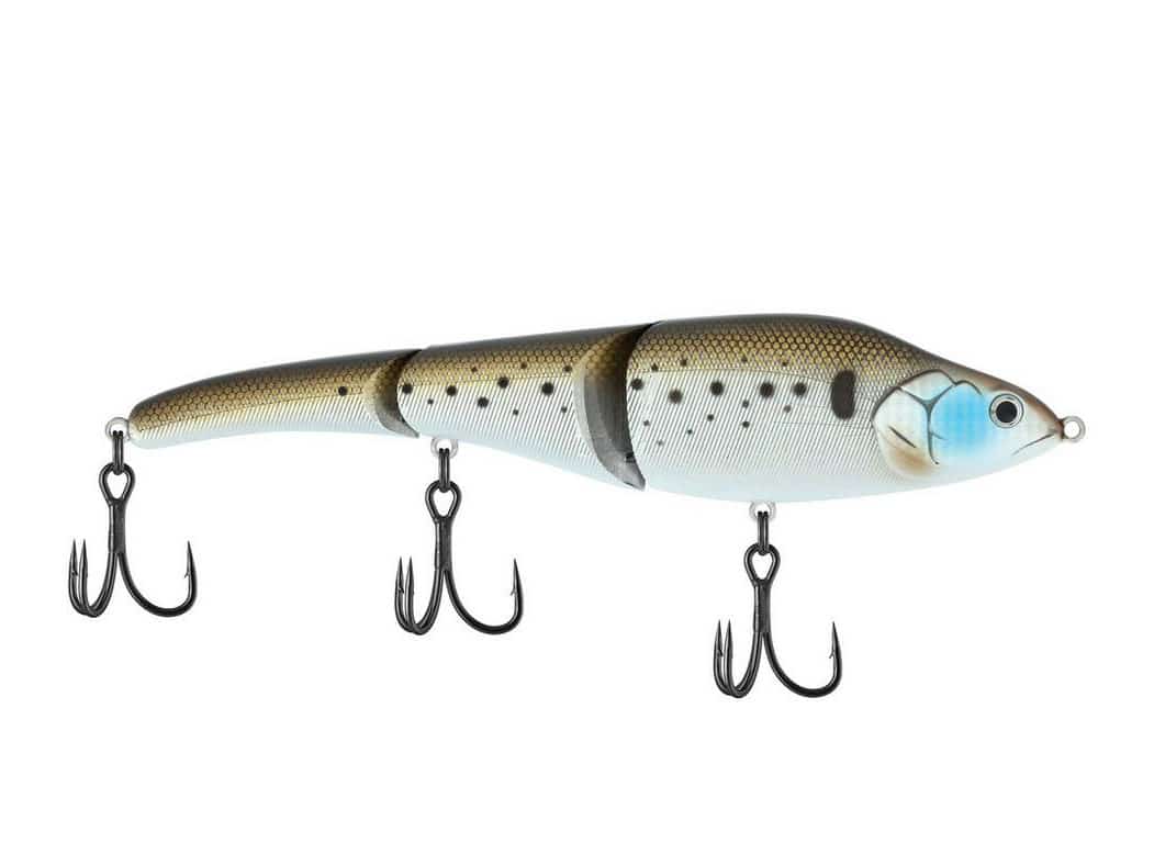 Five Must-Haves for Fishing the Cape Cod Canal