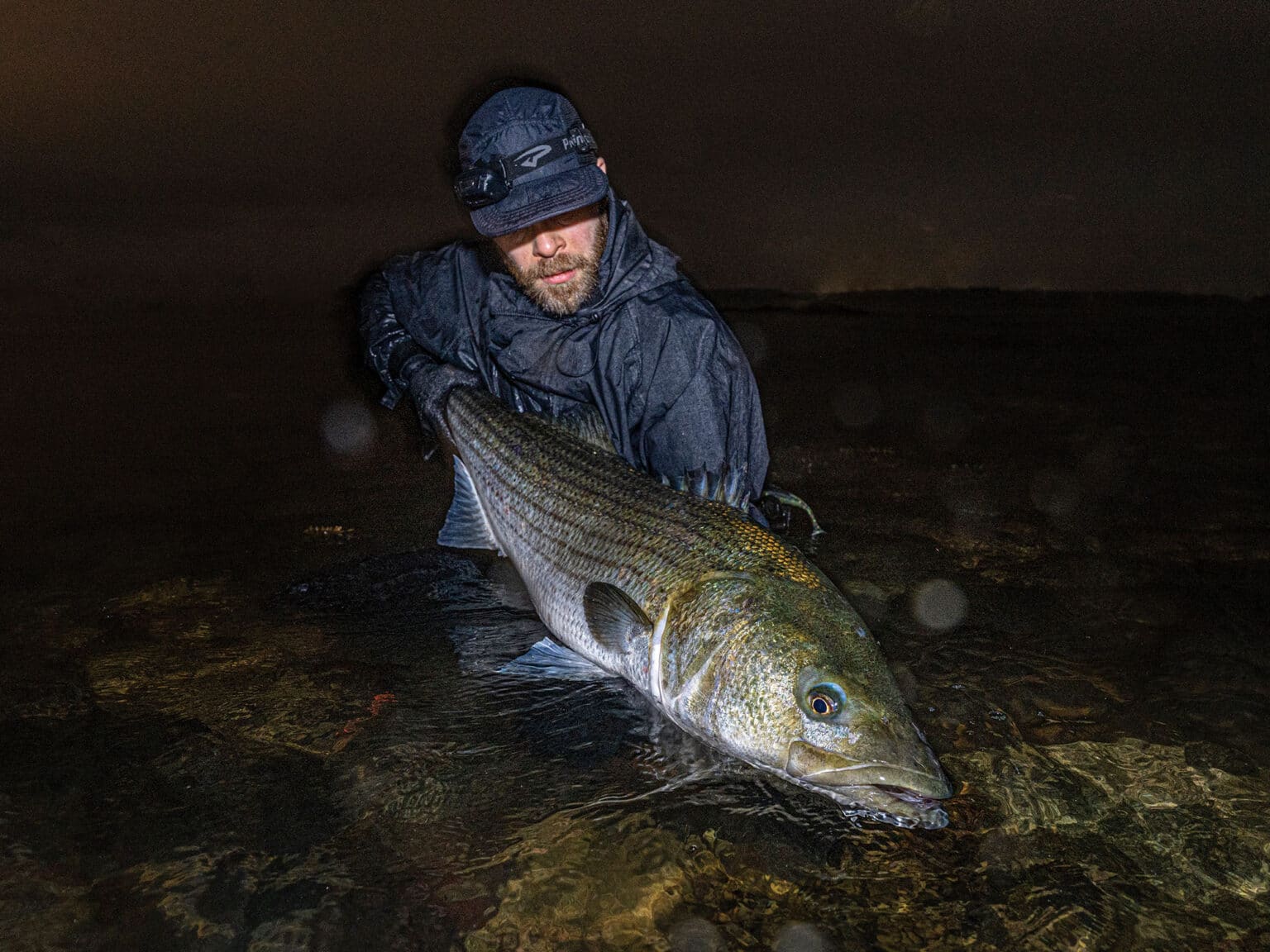 Tips for Fighting Big Saltwater Fish
