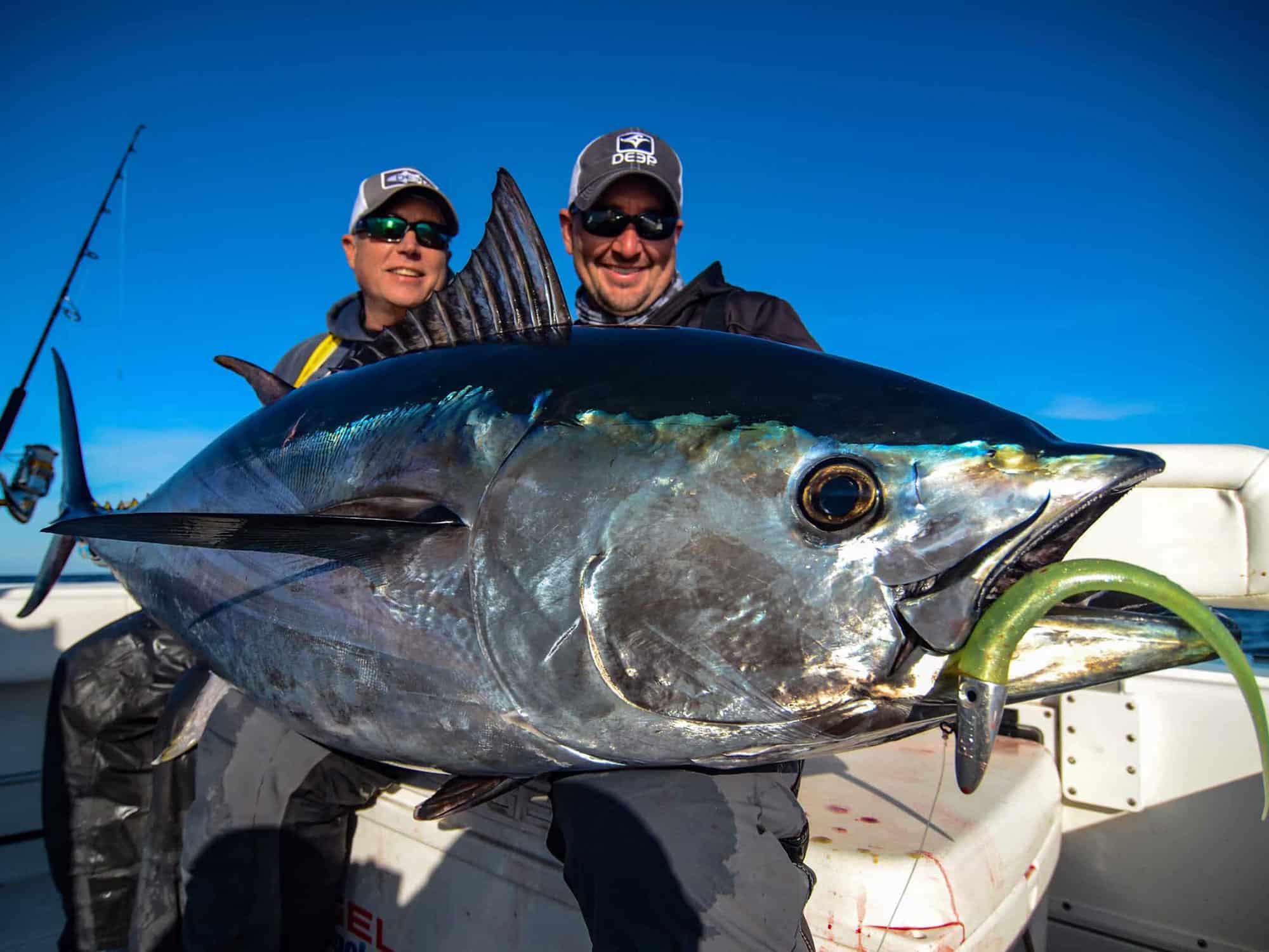 NOAA Closes Atlantic Bluefin