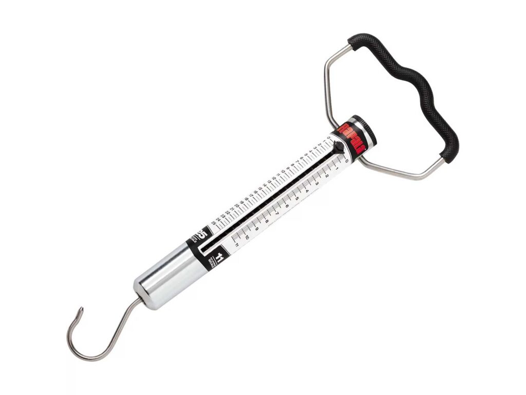 Best Fishing Scales | Salt Water Sportsman