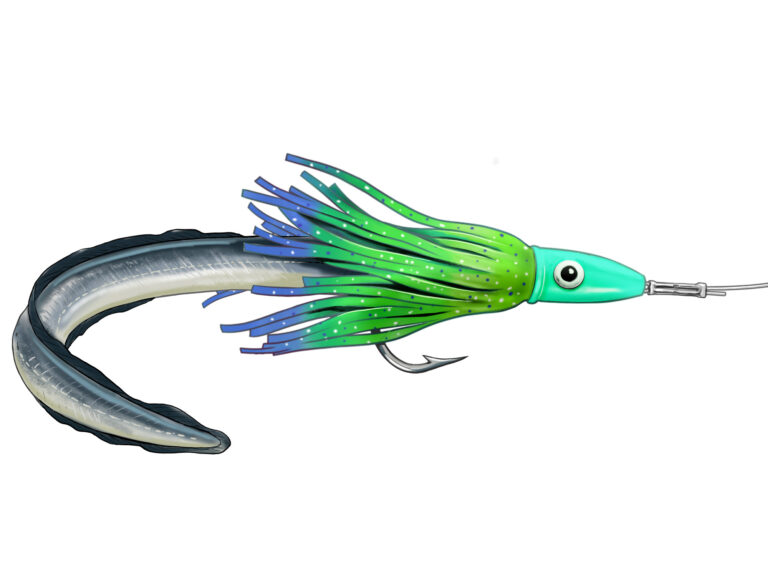 Rules for Rigging Swordfish Baits | Salt Water Sportsman
