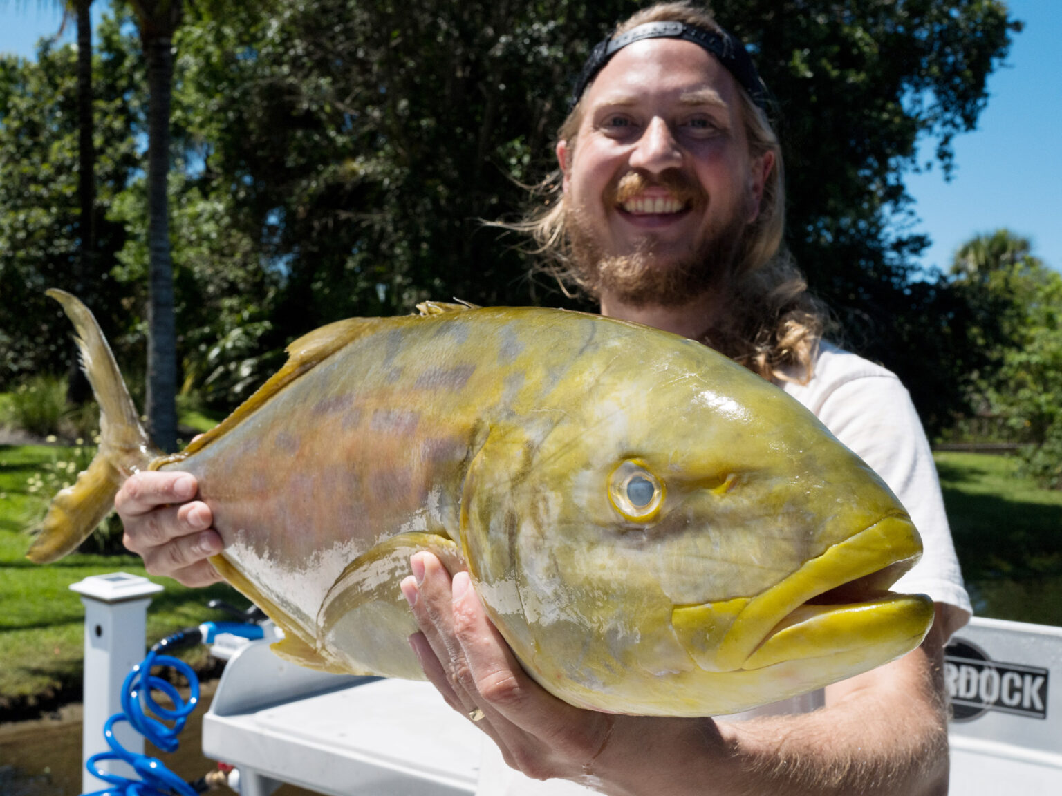 How To Catch and Clean a Yellow Jack