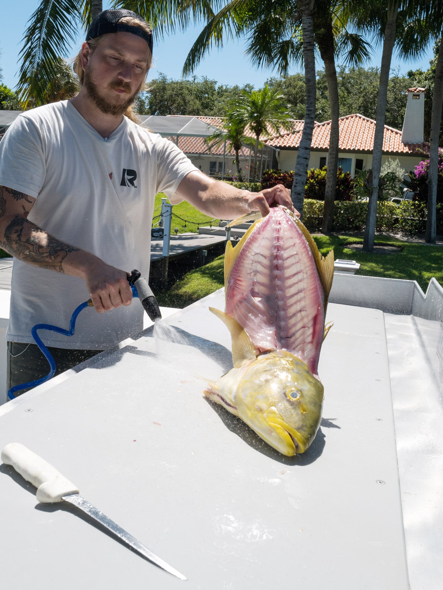 How To Catch and Clean a Yellow Jack