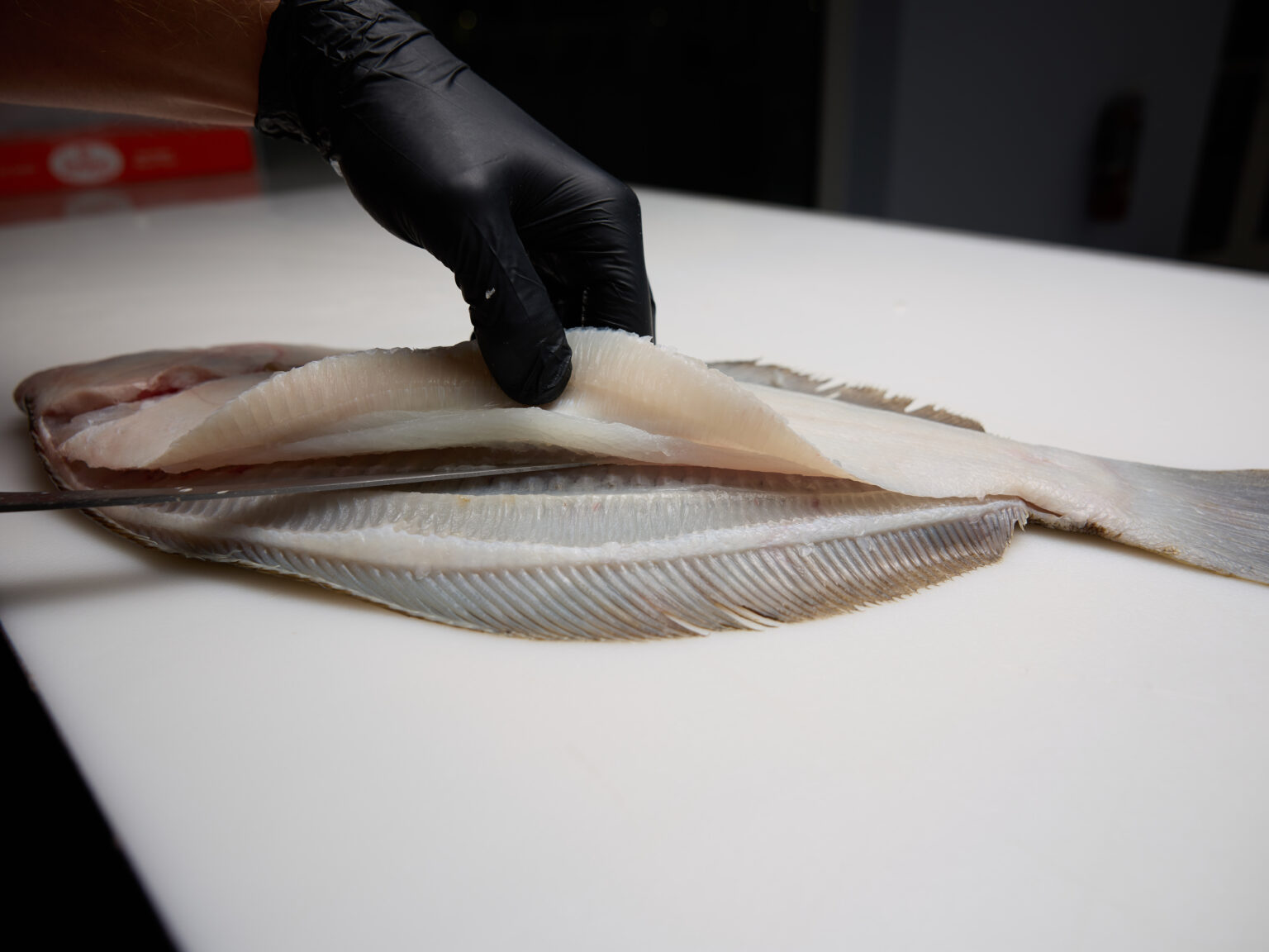 How to Fillet Flounder