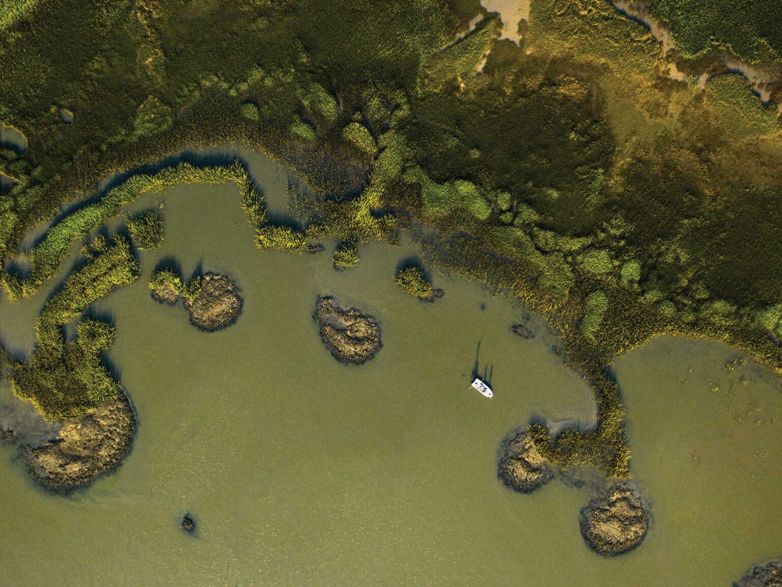 Redfish, How to Catch Redfish | Salt Water Sportsman