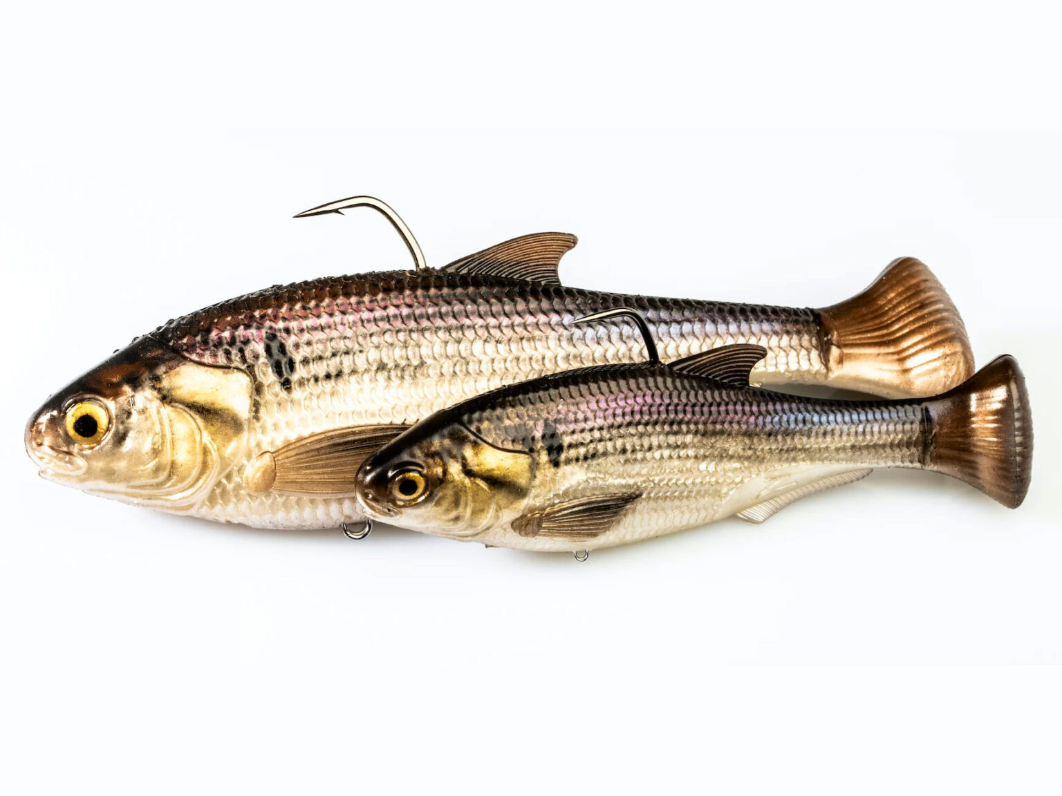 Top Snook Fishing Lures | Salt Water Sportsman