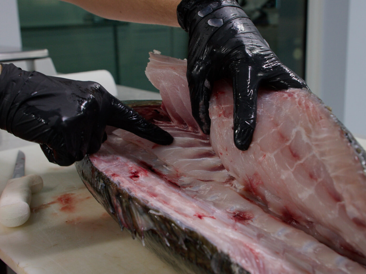 How to Fillet a Striper in 5 Steps I Salt Water Sportsman