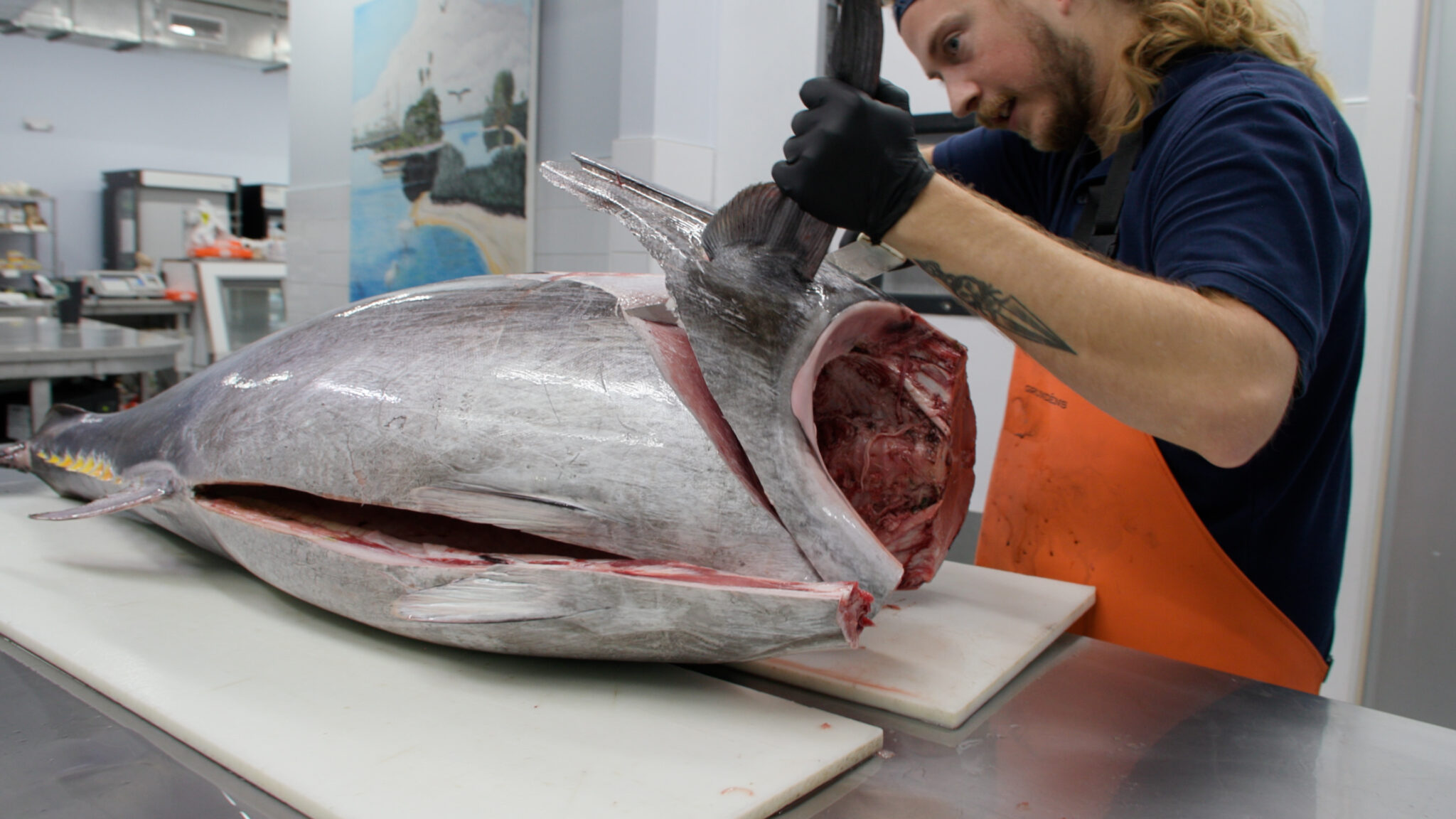 How to Fillet Bluefin Tuna